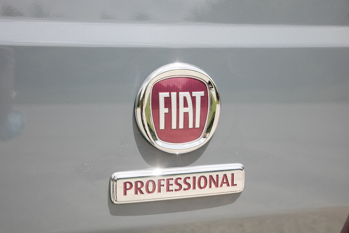 Fiat Professional Logo